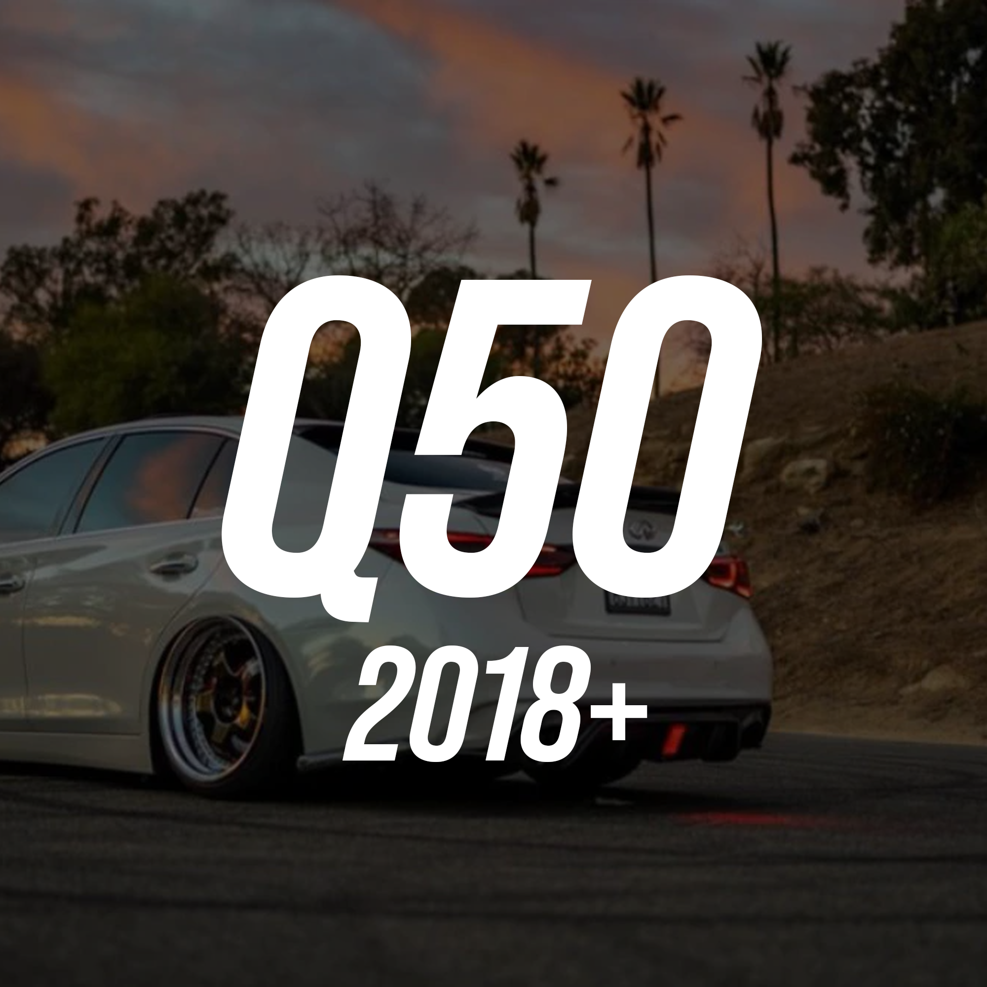 Q50 18+ – Carbon Edge Dynamics