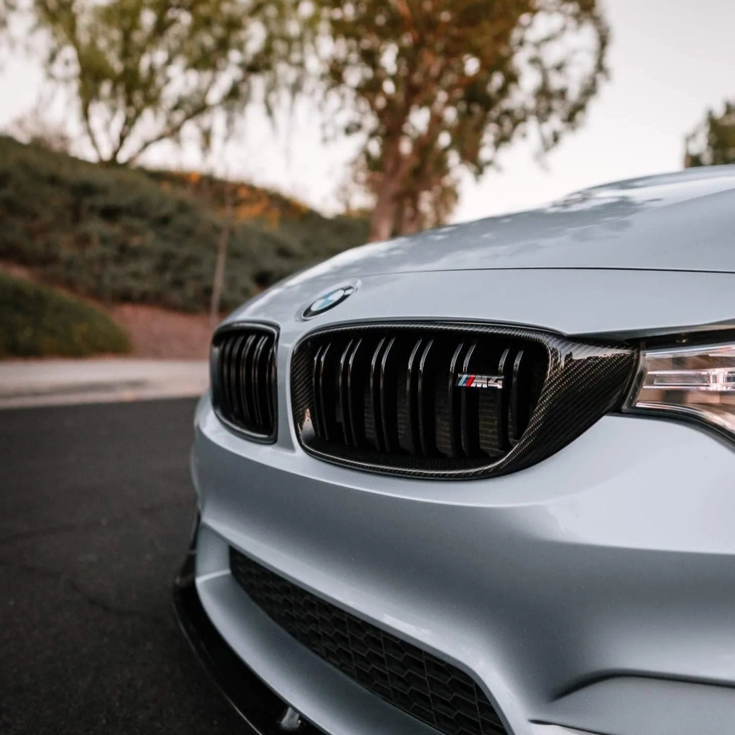 BMW Carbon Fiber Double Slatted Carbon Fiber Grille - F32/F33/F36/F80 ...
